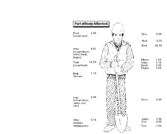 Workers' Compensation Claims Characteristics, Calendar Year 1994